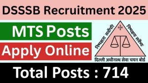 DSSSB MTS Recruitment 2026 Apply For 714 Posts